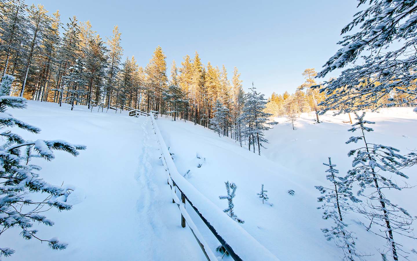 Rokuan luonto - Rokua Geopark ja Rokuan kansallispuisto